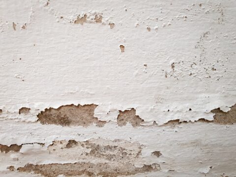 How To Deal With Lead Paint In Older Homes? | Prim Painting